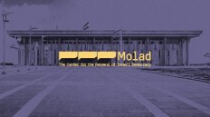 Molad Analysis - American Jewish Leadership & the API